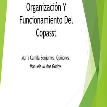 Organización Y Funcionamiento Del Copasst.pptx