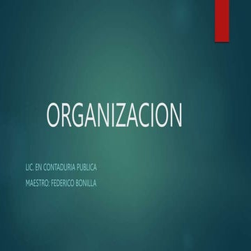 ORGANIZACION osva.pptx