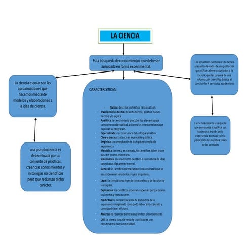 Organizador Grafico De Escrita Explicativa Mapas Mentales: Qué Son,