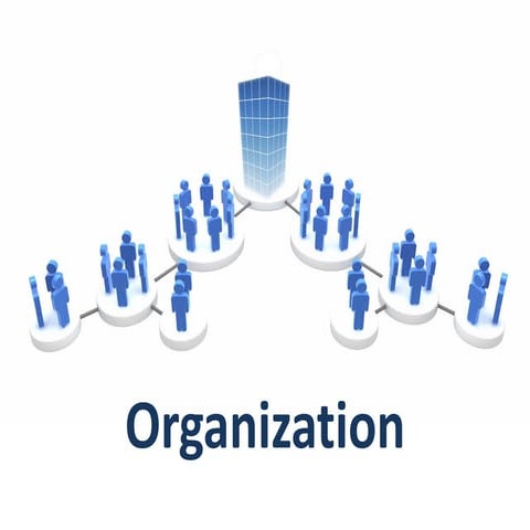 Organization | PDF