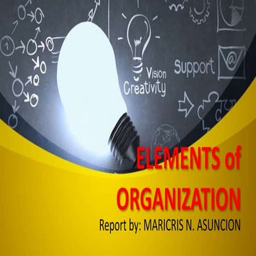 Elements of Organization | PPTX