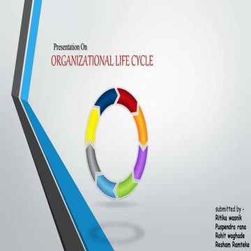 organizational-life-cycle.pptx