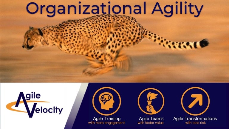 Organizational Agility: Take Agile Beyond the Team - Webinar w/ David… Organizational Agility: Take Agile Beyond the Team - Webinar w/ David…