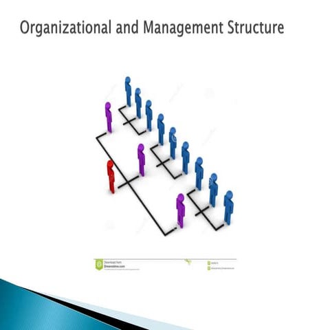 Organizational and management structure | PPT