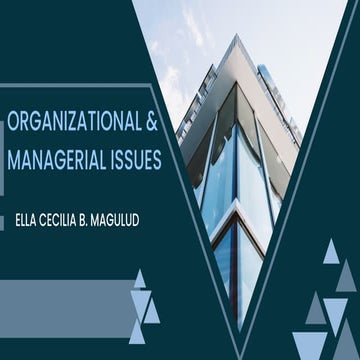 Organizational and managerial issues.pdf