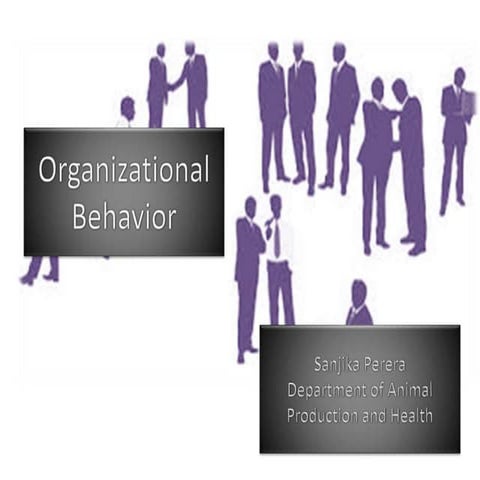 Organizational behavior | PPT