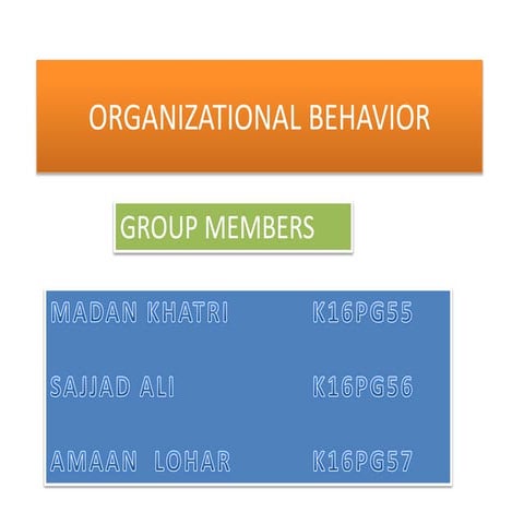 Group & team behavior