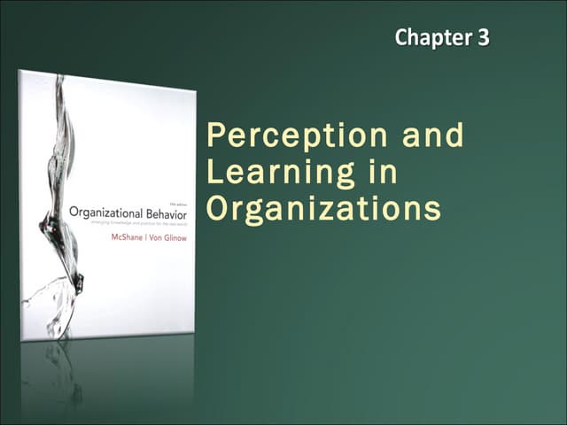 Perception | PPT