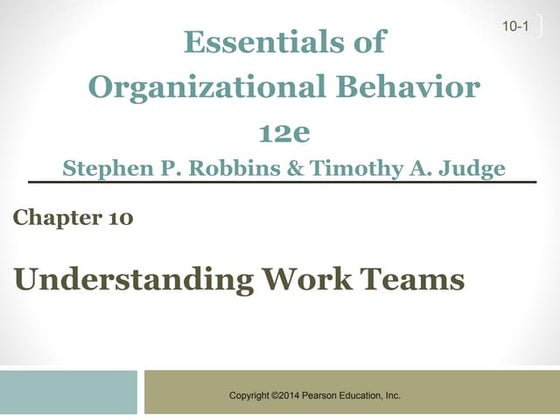 Organizational behavior chapter 2 | PPT