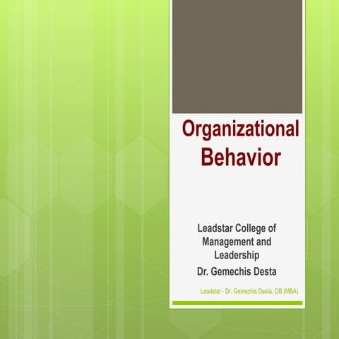 Organizational behavior ppt | PPTX