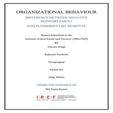 Organizational behaviour | PDF