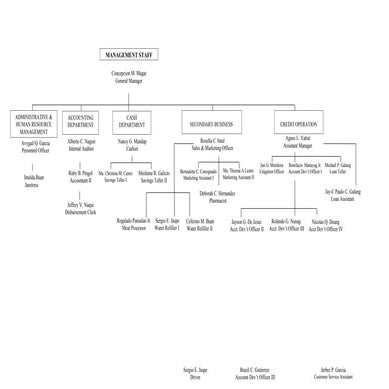AMMMPC Organizational chart staff | PPT