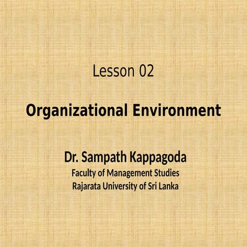 organizational_environment external.ppt.pdf