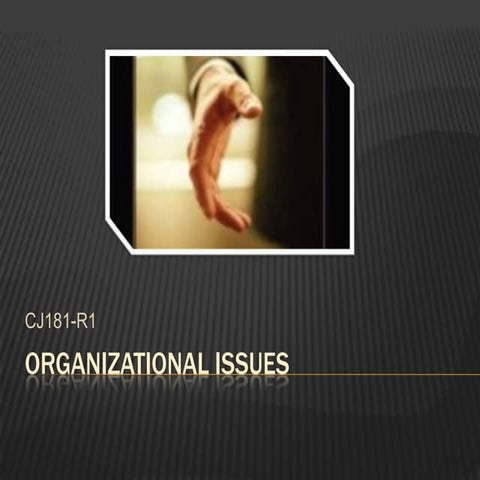 Organizational Issues | PPTX