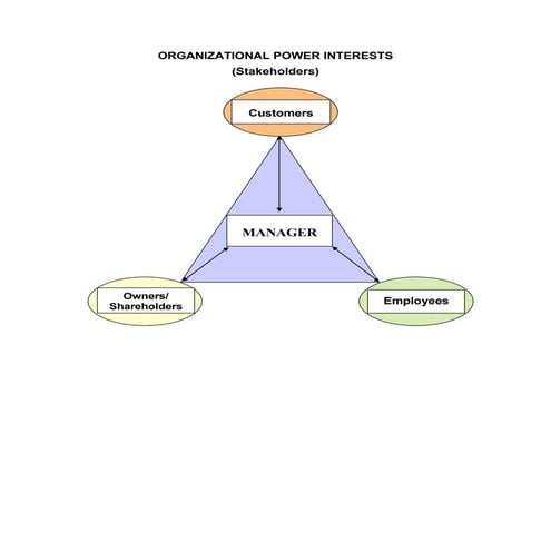 Organizational Power Interests | PDF