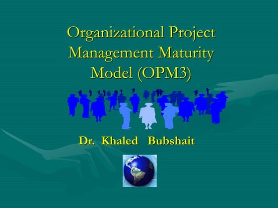 project management maturity models | PDF