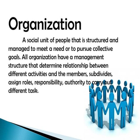 Organizational structure | PDF