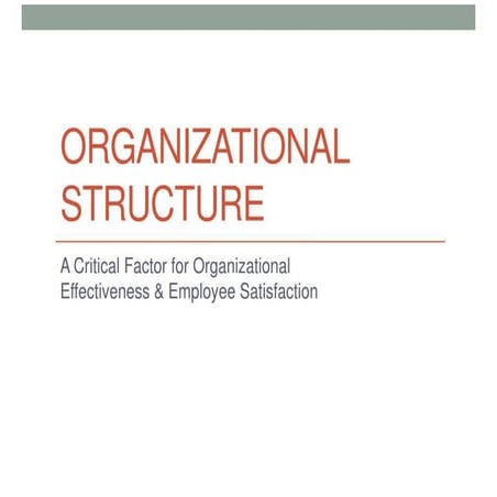 Organizational Structure | PDF