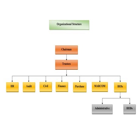 Organizational structure_updated.pdf