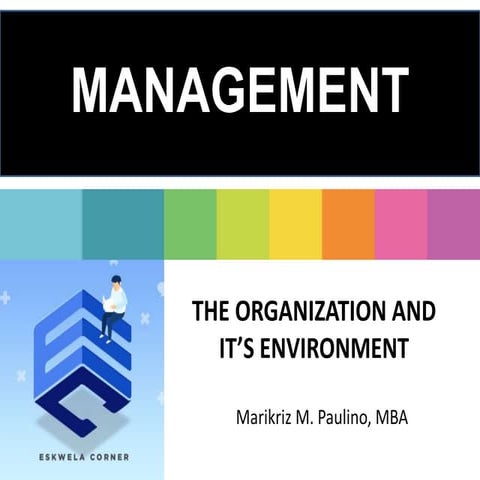 Organization and its environment | PPT