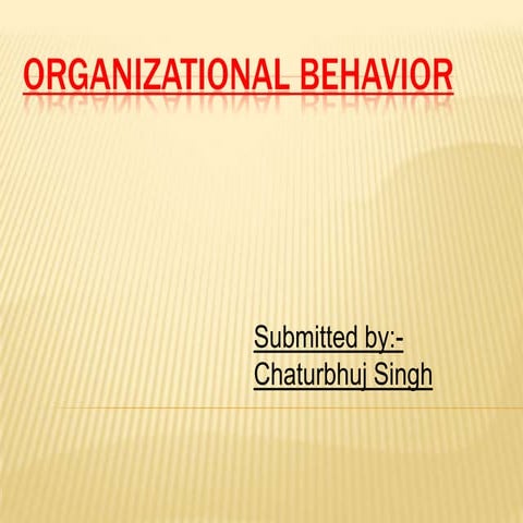 Organization behavior | PPT