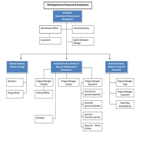 FSMRD Organization Chart | PDF