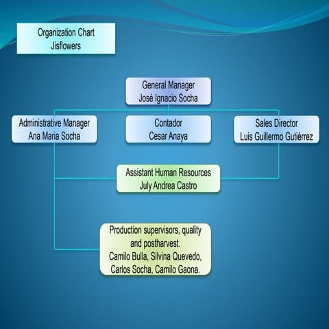 Organization chart | PPTX