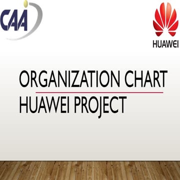 Organization Chart Huawei Project__.pptx
