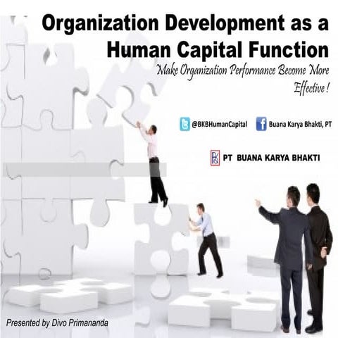 Organization development as a human capital function | PDF