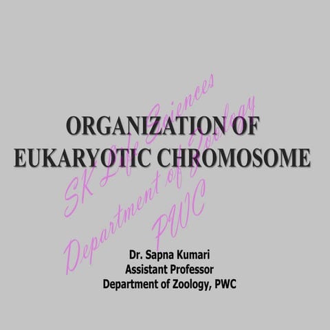 Comprehensive Overview of Eukaryotic Genome Structure and Chromatin ...