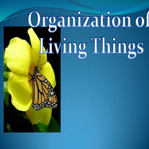 Organization Of Living Things | PPTX