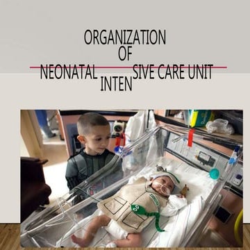 NICU CONCEPTS, STAFFING,PROTOCOLS, PHYSICAL LAYOUT | PPTX