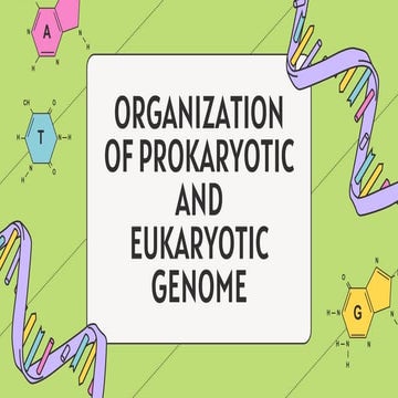 Prokaryotic and eukaryotic gene structures | PPTX