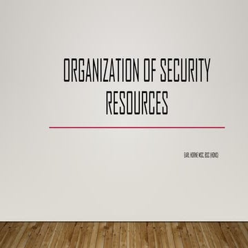 Organization of the Security Resources.pptx