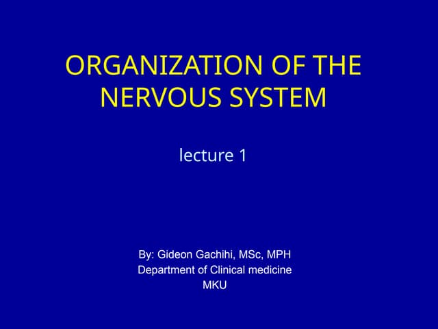 Organization of the nervous system | PPTX
