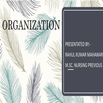 Organization Ppt Pptx