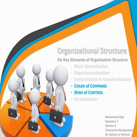 Organization Structure.pdf
