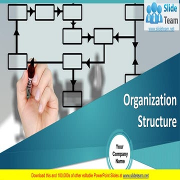 Organization Structure PowerPoint Presentation Slides | PPT