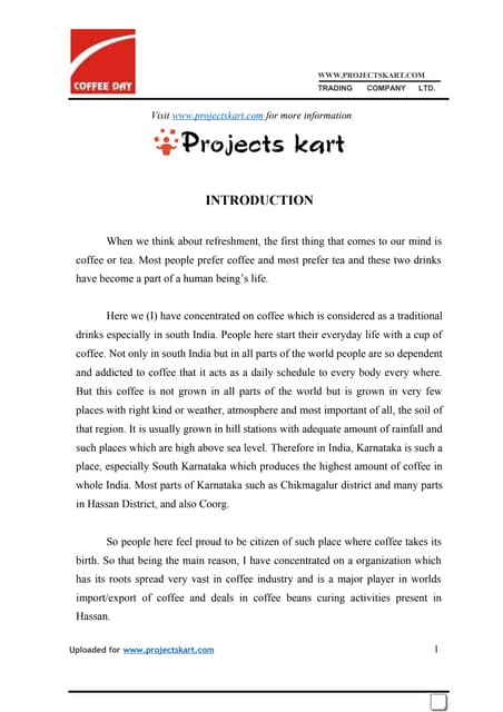 Wow MOMO- Profiling India's most successful MOMO chain | PPTX