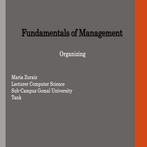 Organizing in Management | PPTX