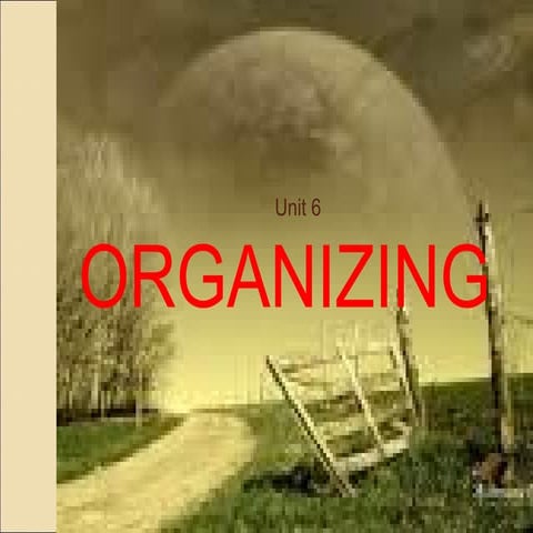 Presentation on Organization | PPT