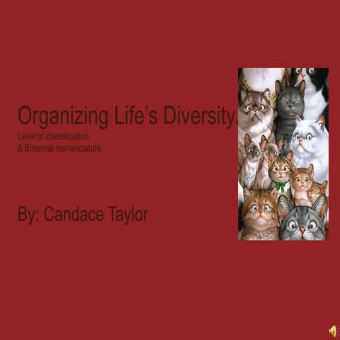 Organizing Life’S Diversity | PPTX