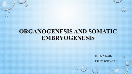 Methods 2 Propagation by Direct Organogenesis.pptx
