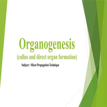 Organogenesis - Callus and direct organ formation | PPTX