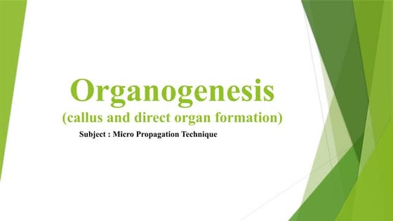 Organogenesis, in plant tissue culture | PPTX
