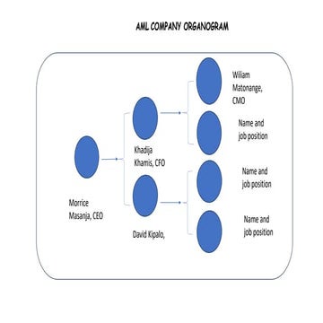 ORGANOGRAM FOR startup companies small companies | PPT