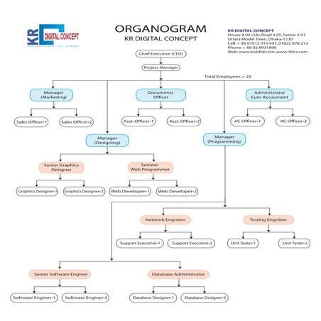 Organogram KR Digital Concept | PDF