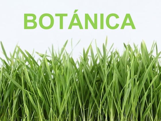 Chap_9_Control__Coordination.pptx