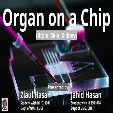 Introduction to Organ on a Chip with examples of Brain, Kidnes.pptx