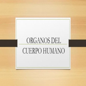 Órganos del cuerpo humano | PPTX